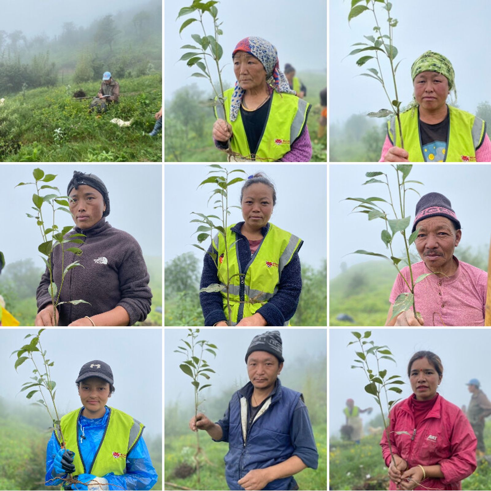 Plant A Red Panda Home · Contact - explorer.land