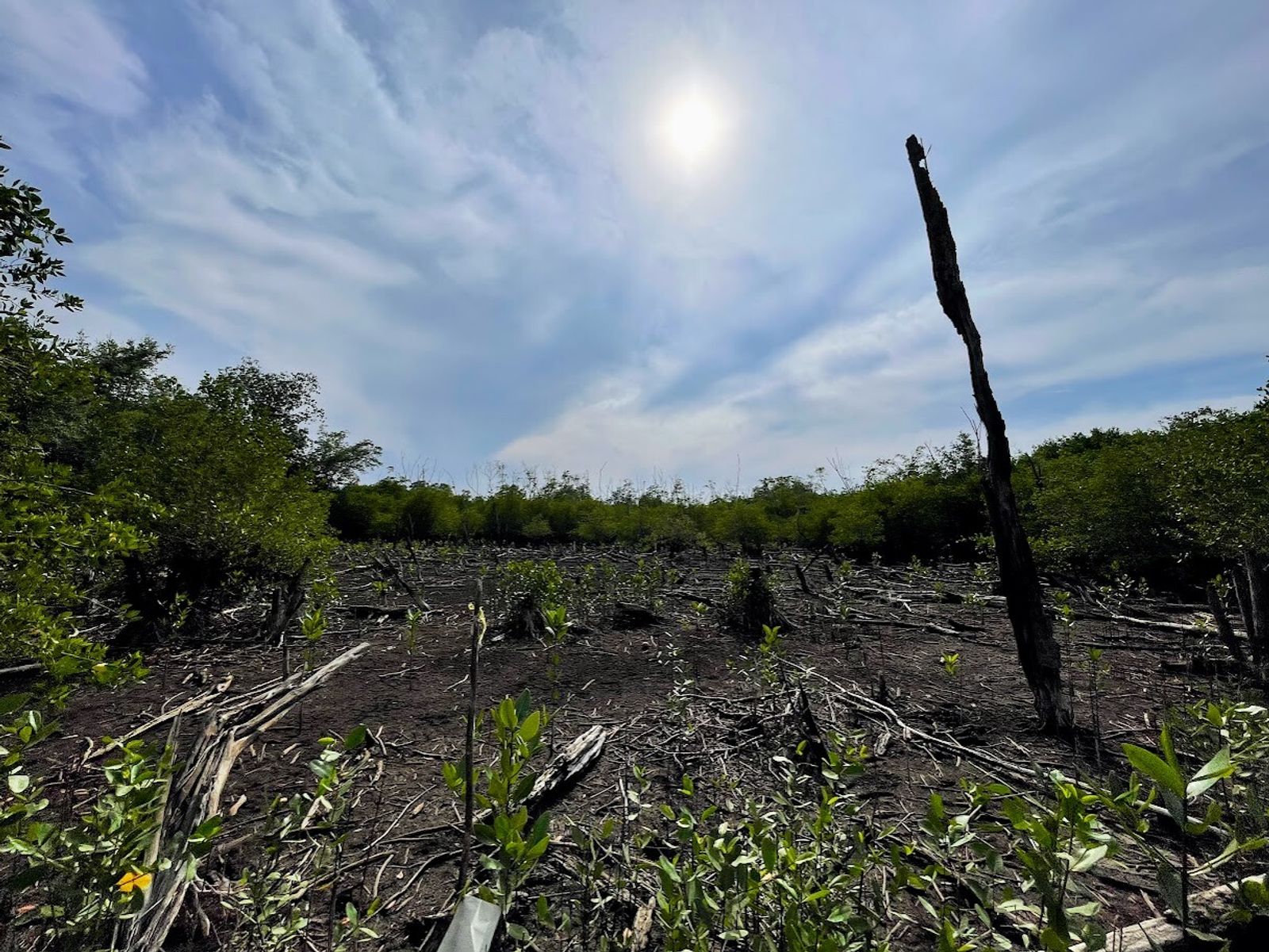 Test Plot - explorer.land