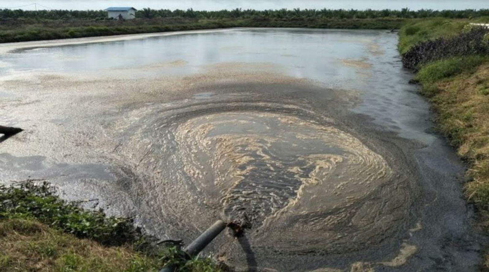 An elaboration on how water pollution from palm oil mill effluent (POME ...