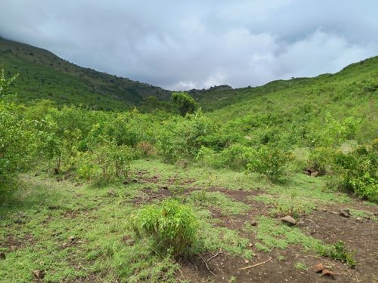 Gembe Hills · About Site - explorer.land