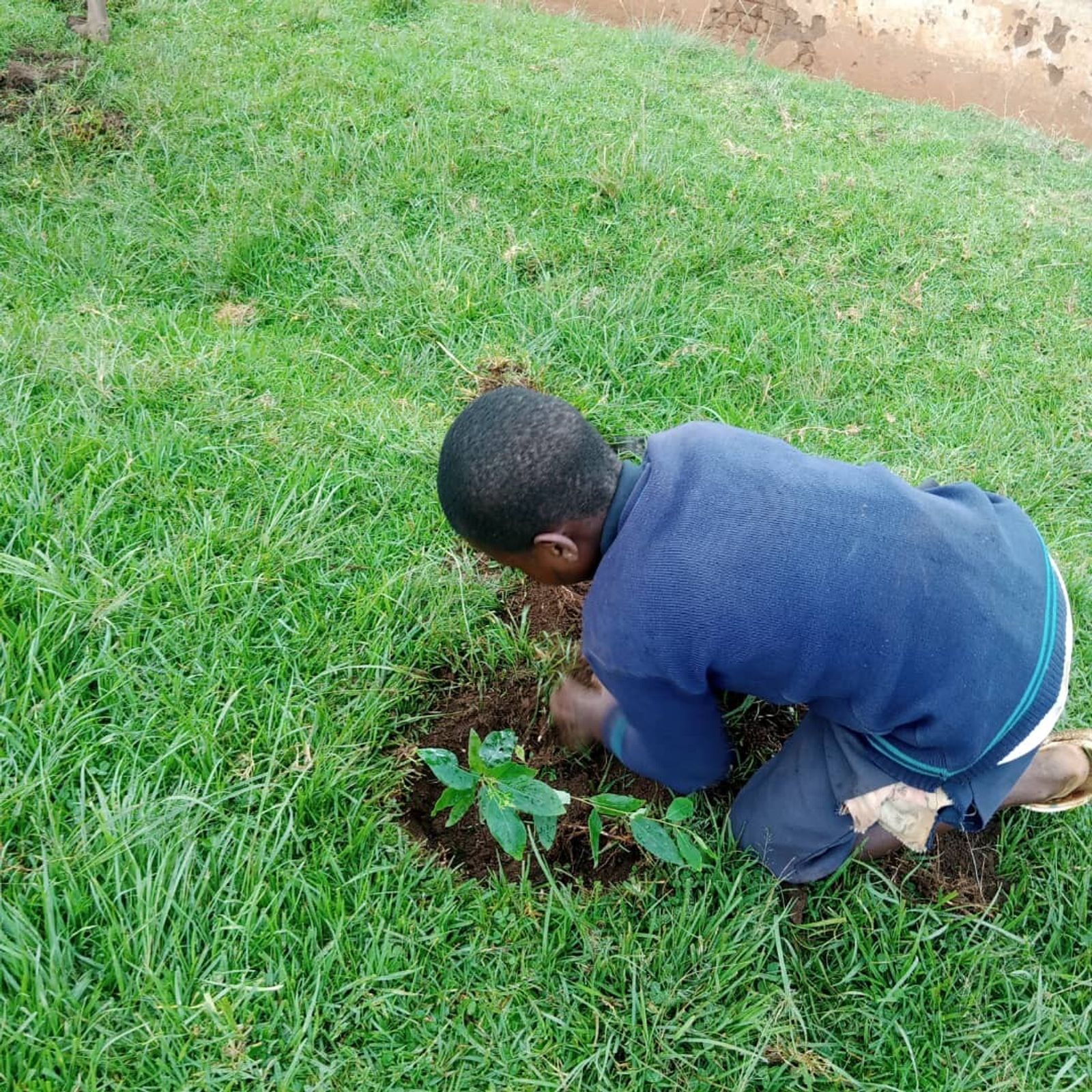 Restoration in magamba forest reserve. - explorer.land