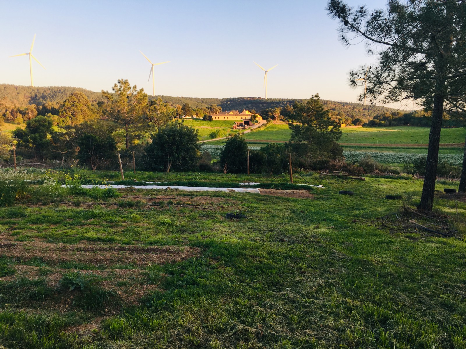 Restore Nature in Southern Portugal - explorer.land