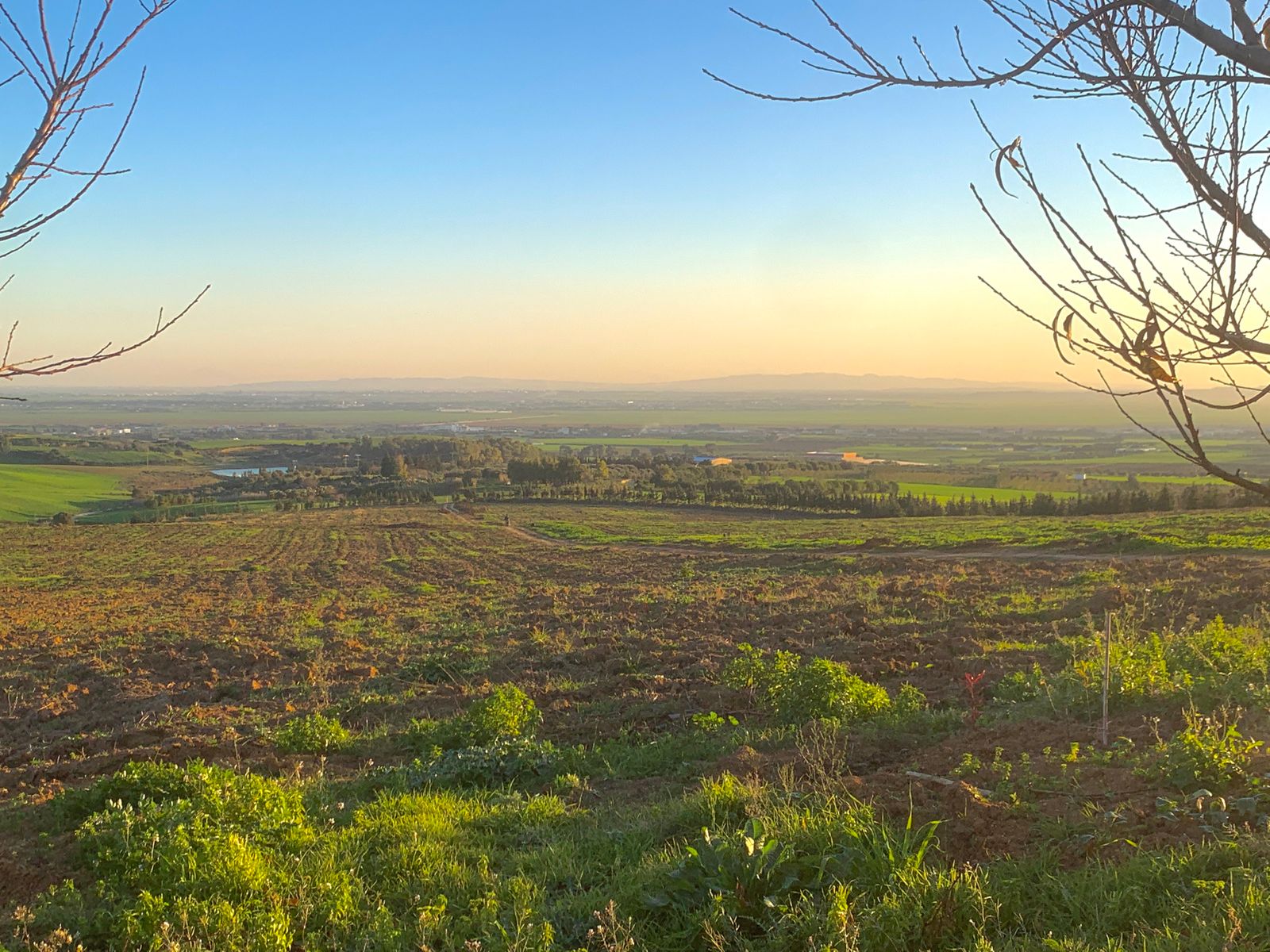 C6 PPI - El Alia, Bizerte · C6 PPI - El Alia, Bizerte - explorer.land