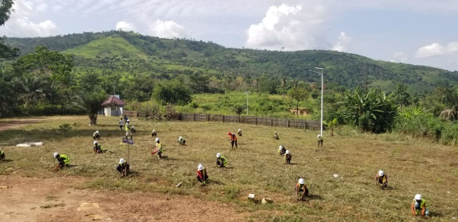 Afforestation site: Cascade de WOME · Afforestation site: Cascade de ...