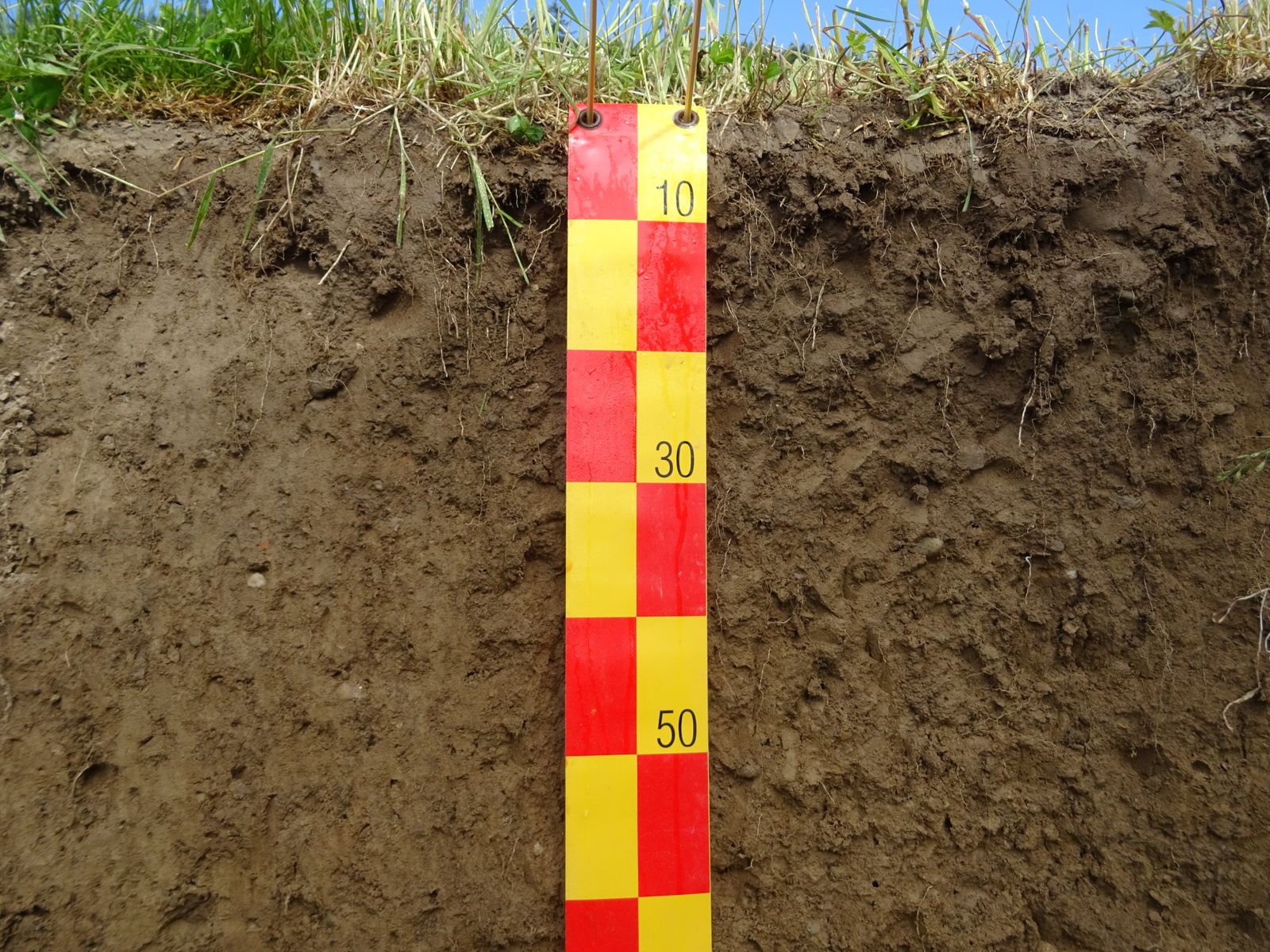 Capturing and valorising the services of the soil - explorer.land