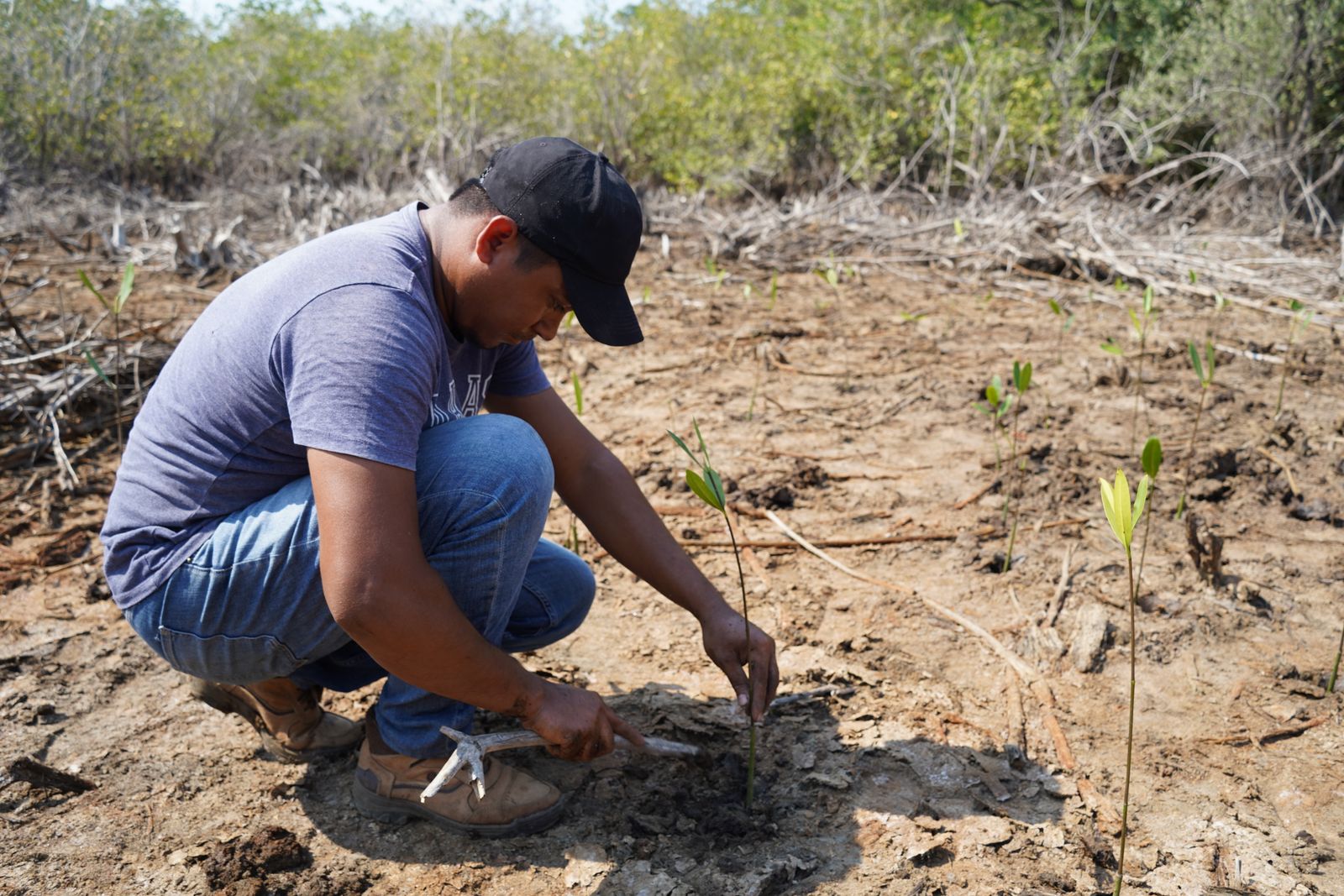 Planting Begins! - explorer.land