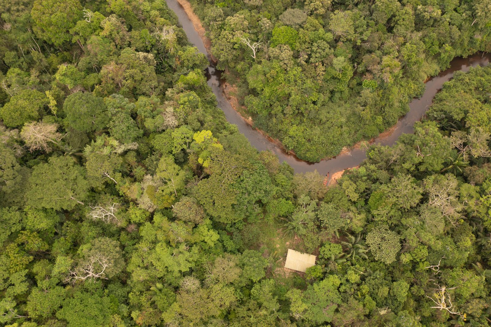 Wyss Academy For Nature - explorer.land