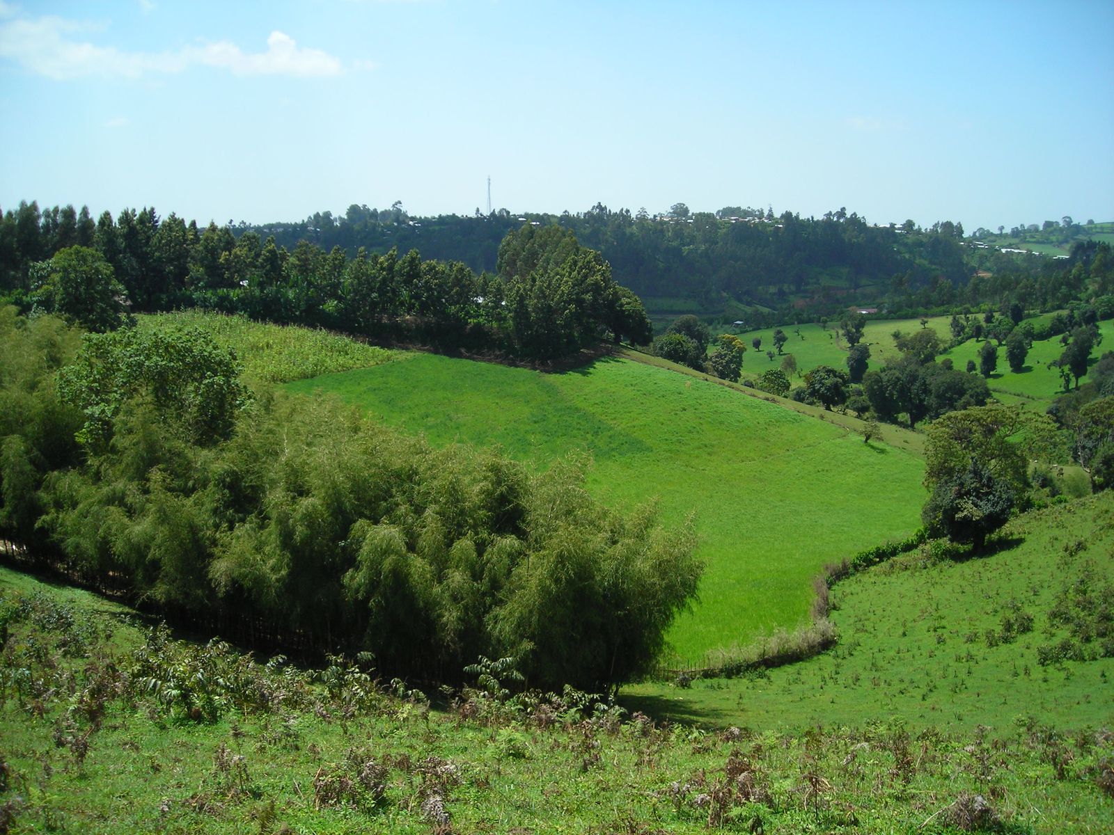 Landscape Context - explorer.land