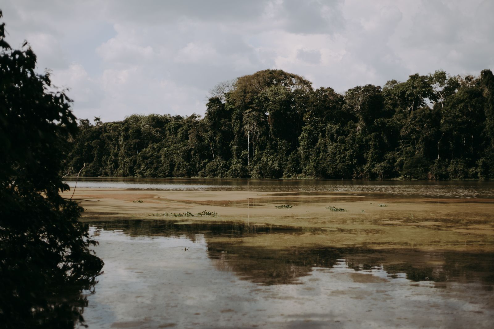 Seringueira REDD+ Project - explorer.land