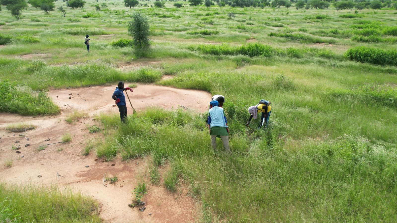 The Great Green Mandé - by Hommes et Terre - explorer.land