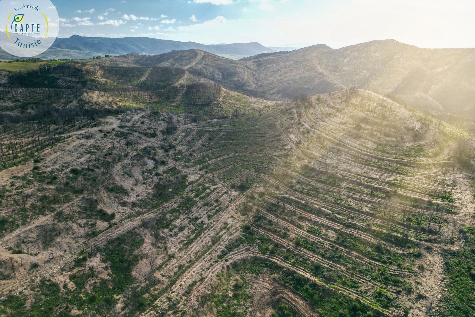 Suivi des plantations à Hammam Biadha - explorer.land