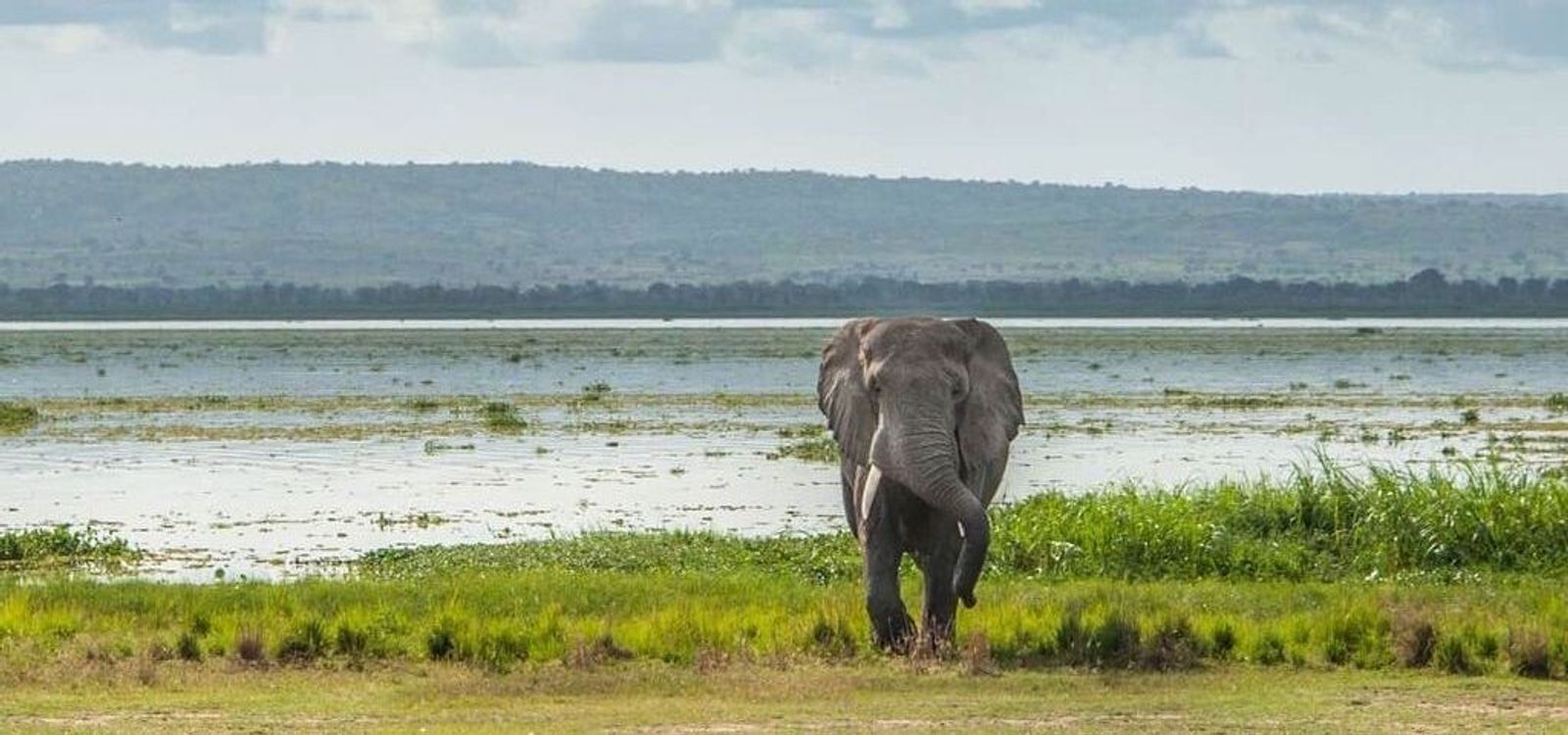 Fostering Coexistence & Biodiversity Protection in Tanzania's Rukwa ...