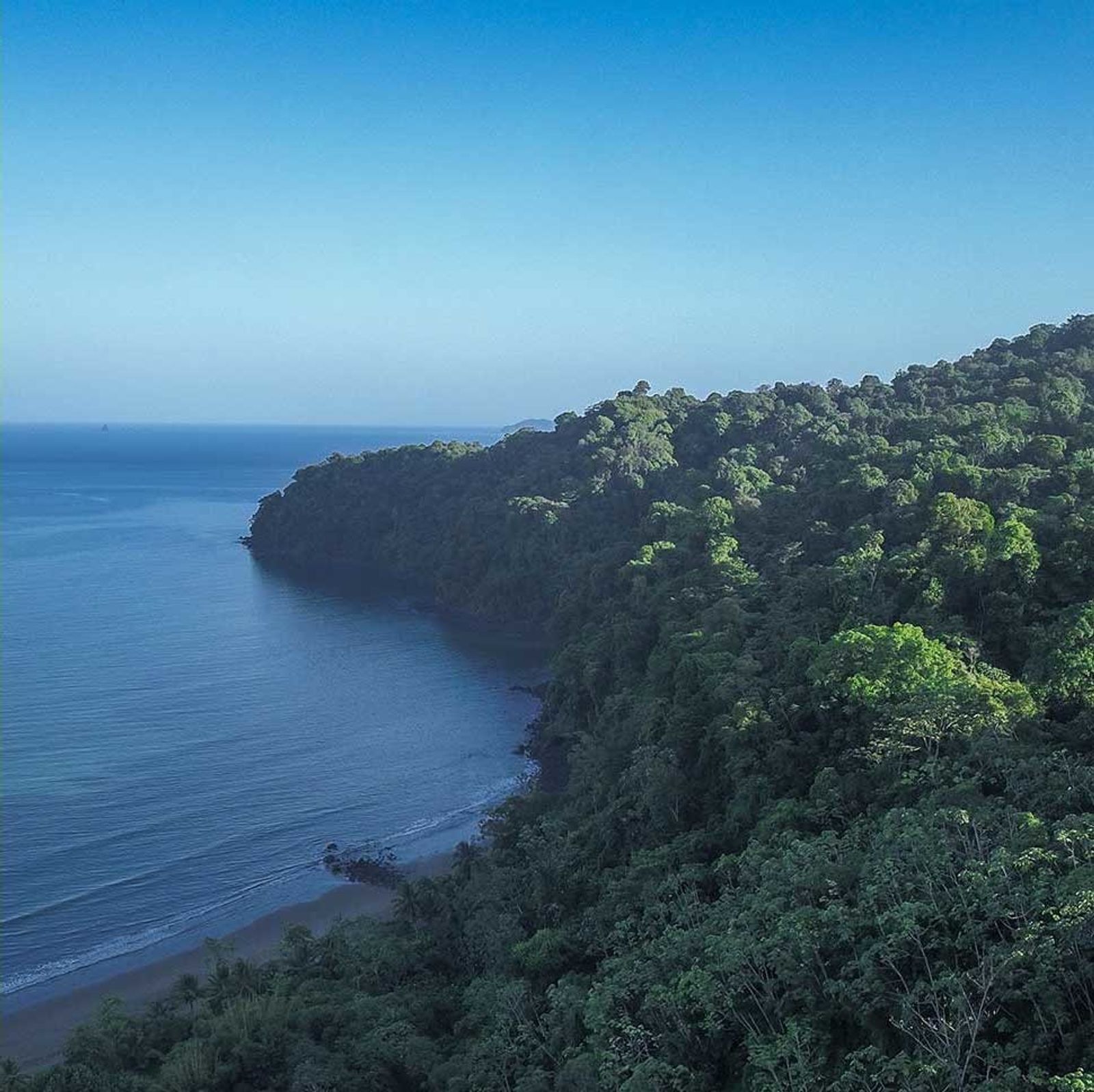 NatureRe - explorer.land