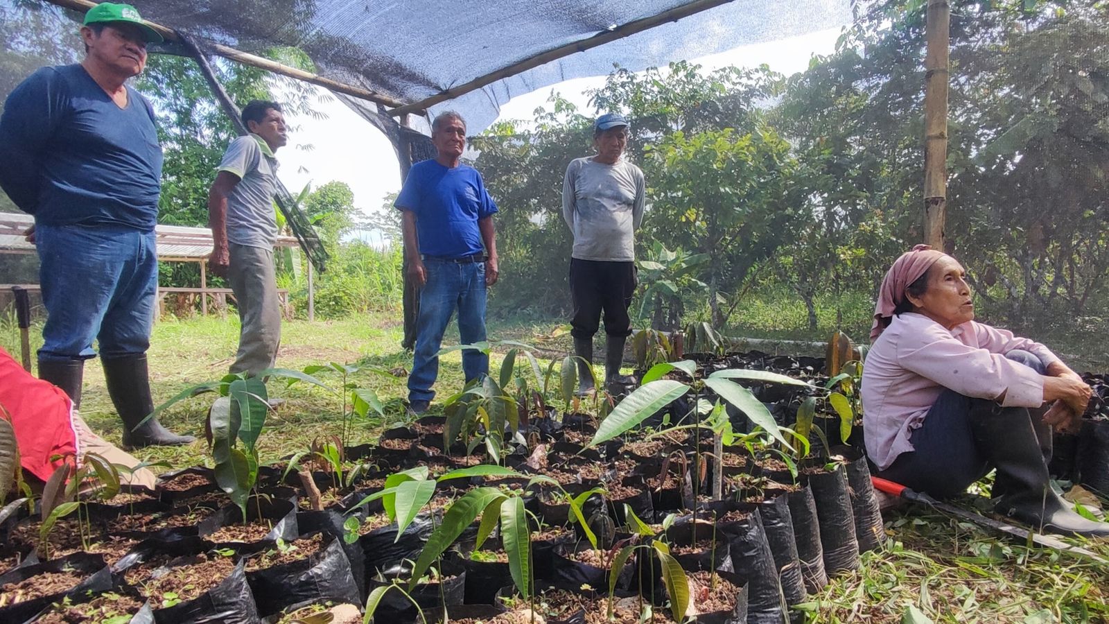 Vivero Pueblo Nuevo · Vivero Pueblo Nuevo - explorer.land