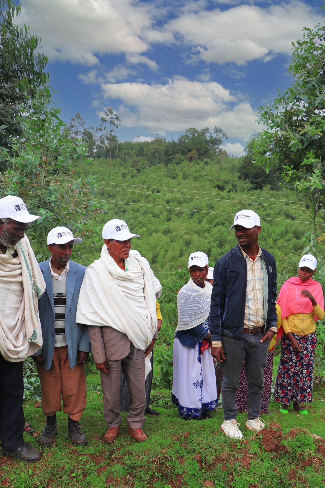 Building commercial bamboo opportunities for Ethiopia's farmers and ...