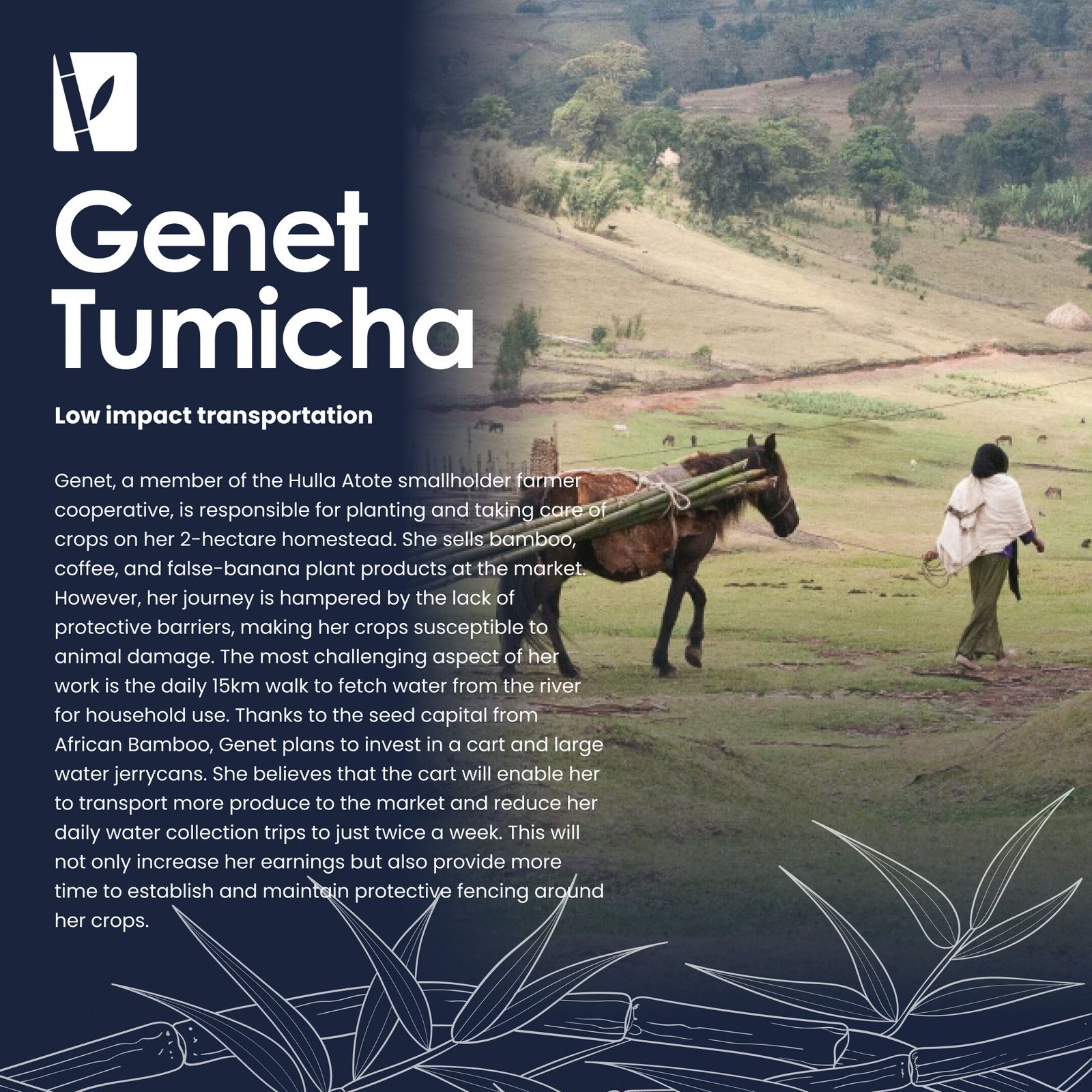 Genet's Triumph: Transforming Farming in Hulla Atote - explorer.land