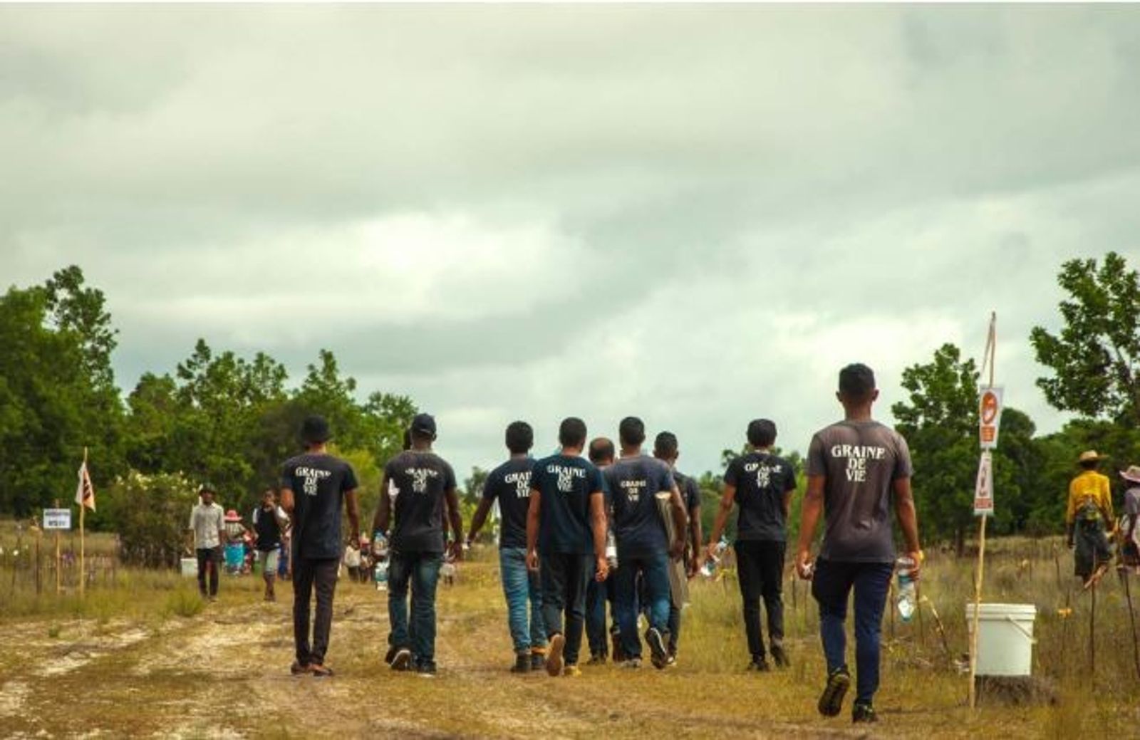 Afforestation activities · SDGs - explorer.land