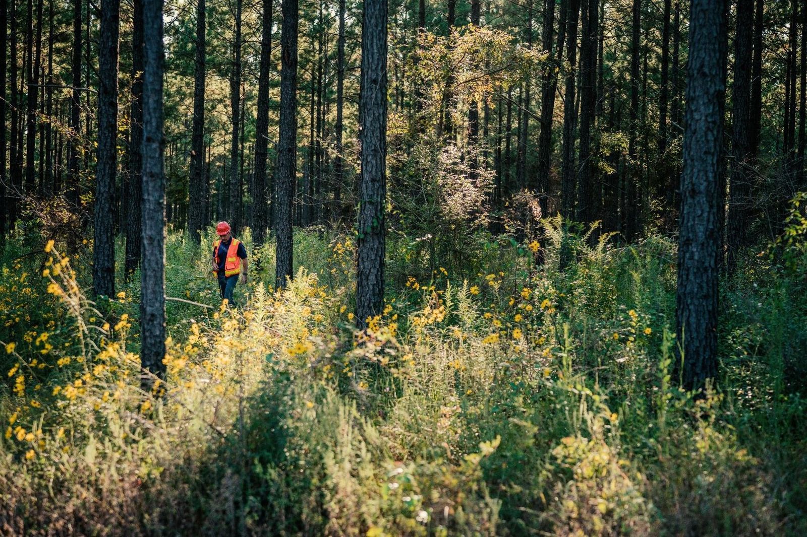 Growing the availability of fiber and develop science-based targets for ...