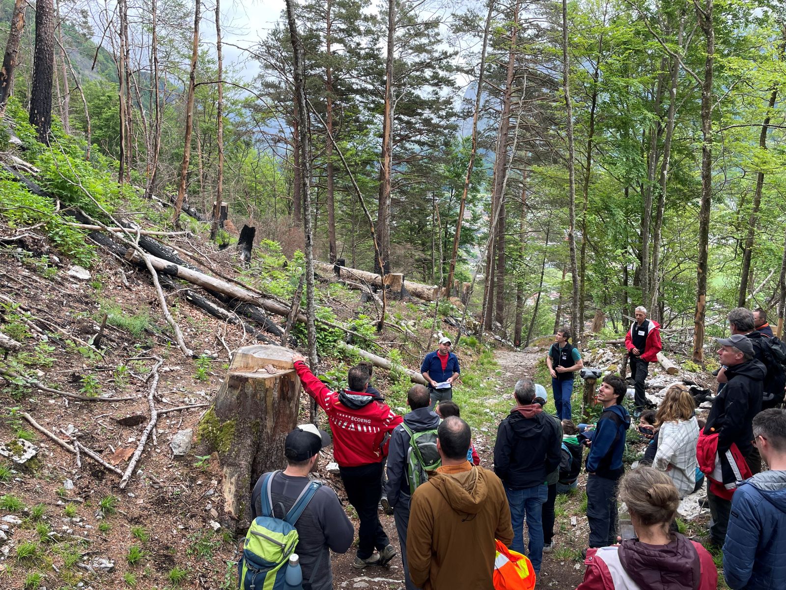 Forest fire management on the northern side of the Alps - explorer.land