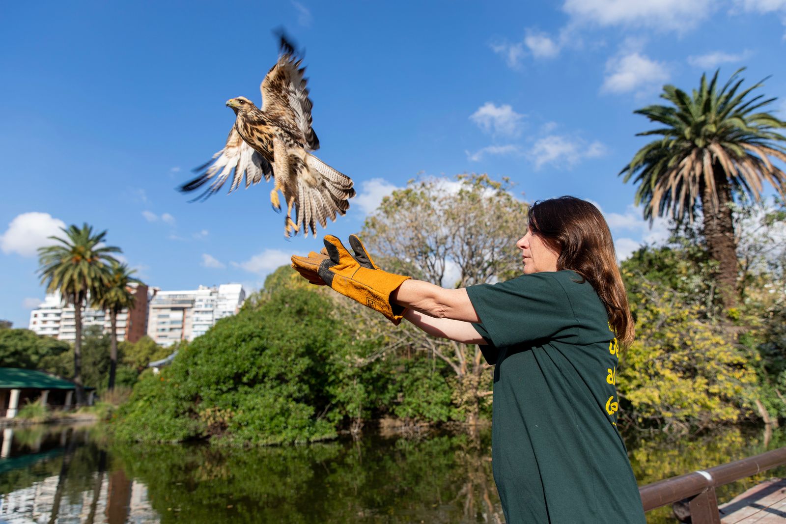 Program for the Conservation and Rescue of Raptors · About - explorer.land