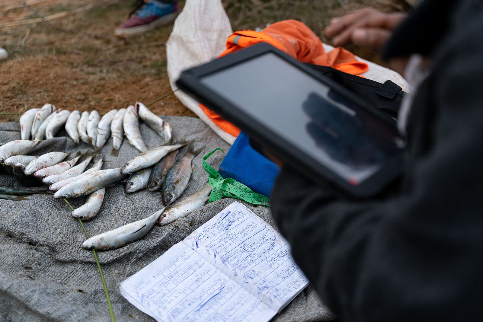 Community-Led Catch Data Monitoring - explorer.land