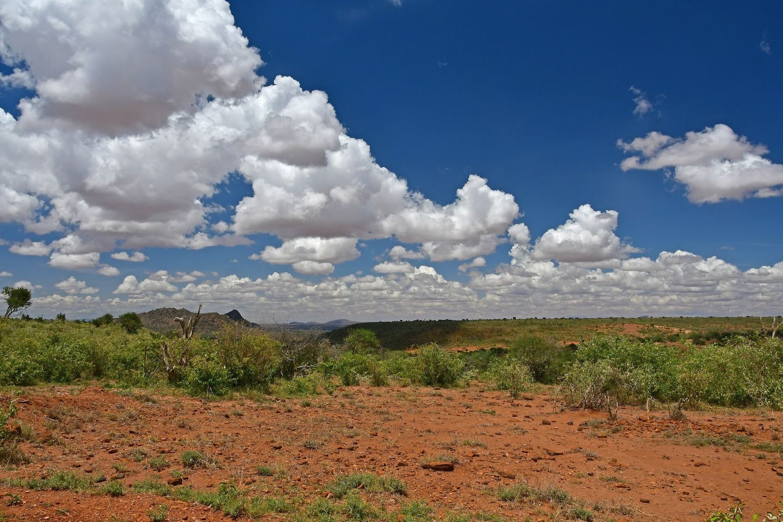 Interdisciplinary research project payments for ecosystem services - explorer.land