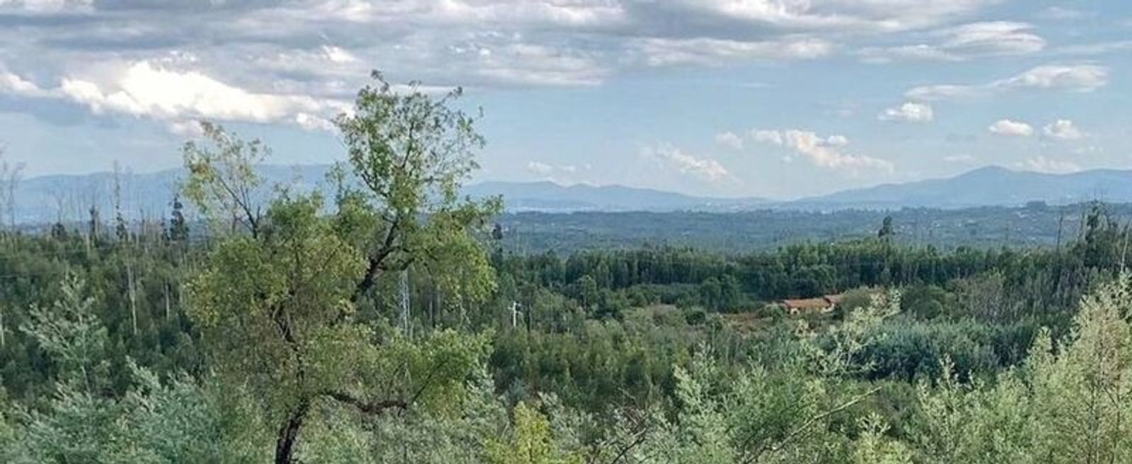 Project Kamp - explorer.land